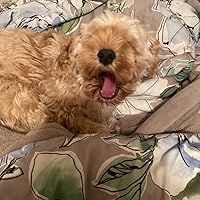 Better Learning Through Structured Teaching: A Framework for the ...