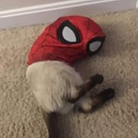 Cultural Misunderstandings: The French-American Experience by Raymonde ...