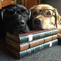 Thirteen (Adam Grant, #1) by Tom Hoyle | Goodreads