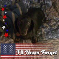 An Omega for the Lycan Prince (Silverlake Wolves, #1) by Isa Rinner ...