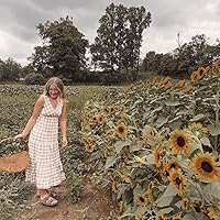 Here Lies the Librarian by Richard Peck | Goodreads