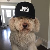 UNIX Network Programming: Networking APIs: Sockets and XTI; Volume 1 by ...