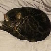 Mad Maudlin (Bedlam's Bard, #6) by Mercedes Lackey | Goodreads