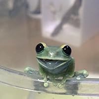 More Than a Dream: The Radical March on Washington for Jobs and Freedom ...