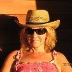 The Snow Falcon by Stuart Harrison | Goodreads