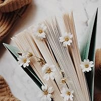 It's the End of the World and I'm in My Bathing Suit by Justin A ...