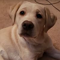 Before You Go by Tommy Butler | Goodreads