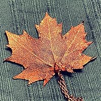 The Stuarts' Last Secret: The Missing Heirs of Bonnie Prince Charlie by ...