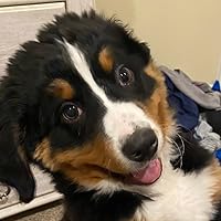 Astrobiology: The Search for Life Elsewhere in the Universe by Andrew ...