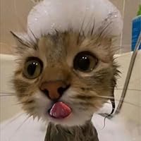 Stolen Girl by Marsha Forchuk Skrypuch | Goodreads