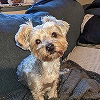 The Ladykiller (DI Kate Burrows, #1) by Martina Cole | Goodreads