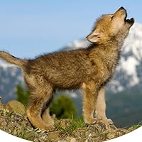 Vision: A Memoir of Blindness and Justice by David S. Tatel | Goodreads