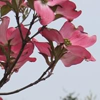 Call Me Tuesday by Leigh Byrne | Goodreads