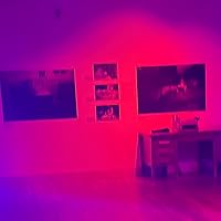 Loathing You by Amina Khan | Goodreads