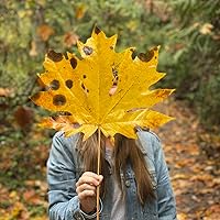 The Last Chance Library by Freya Sampson | Goodreads