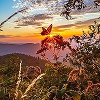 Unwrapping your Passion, Creating the Life You Truly Want by Karen Putz ...