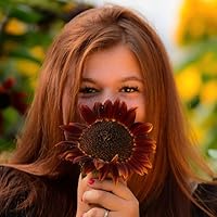 Timeborne (Blade of Shadows #1) by Sara Samuels | Goodreads