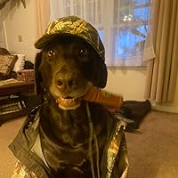 Hunt Me Darling (The Darling Games #1) by Maree Rose | Goodreads