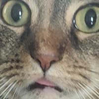 George: A Magpie Memoir by Frieda Hughes | Goodreads