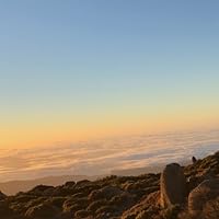 Orphia and Eurydicius by Elyse John | Goodreads