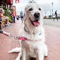 Best Men by Sidney Karger | Goodreads