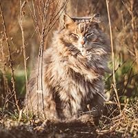 Forager: Field Notes for Surviving a Family Cult by Michelle Dowd ...