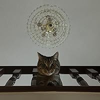 The Lolita Effect: The Media Sexualization of Young Girls and What We ...