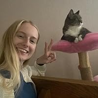 Mercy like Morning: Discovering Truth in Seasons of Waiting by Jane ...