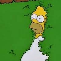 The Final Year by Matt Goodfellow | Goodreads