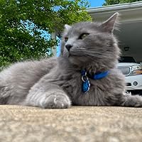 Reapers (Reapers, #1) by Bryan Davis | Goodreads