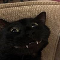 Fearscape (The Devouring, #3) by Simon Holt | Goodreads