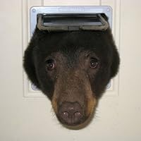 Unexplained: Real-Life Supernatural Stories for Uncertain Times by ...