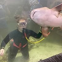 The Poison and the Paladin by Sarah M. Cradit | Goodreads