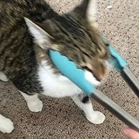 Starcross (Larklight, #2) by Philip Reeve | Goodreads