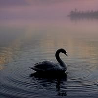 Vile Boys (Spine Ridge University) by Clarissa Wild | Goodreads