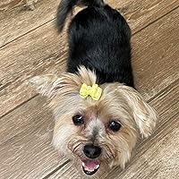 Gather by Kenneth M. Cadow | Goodreads