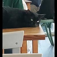 Peerless: Wu Shuang (Novel) Vol. 1 by Meng Xi Shi | Goodreads