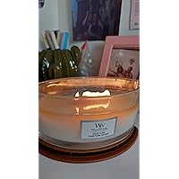 Open Me Carefully: Emily Dickinson's Intimate Letters to Susan ...