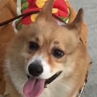 Writing Deep Scenes: Plotting Your Story Through Action, Emotion, and Theme by Martha Alderson ...