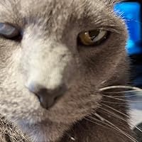 Charon's Landing (Philip Mercer, #2) by Jack Du Brul | Goodreads