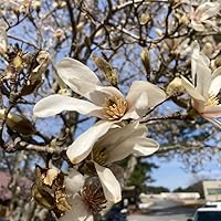 Who Was Paul Revere? by Roberta Edwards | Goodreads