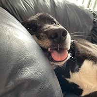 1689 (The Haunting of Hadlow House, #1) by Amy Cross | Goodreads