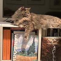 The Divine Wind by Garry Disher | Goodreads