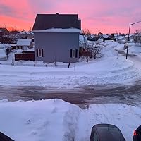 Forget Me Nat: A Graphic Novel (Nat Enough, #2) by Maria Scrivan ...