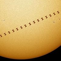 Whale Done (FunJungle, #8) by Stuart Gibbs | Goodreads