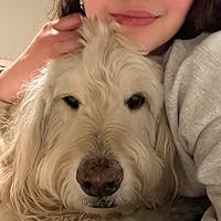 Hero by S.L. Rottman | Goodreads