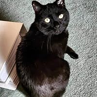 Perfect on Paper by Janet Goss | Goodreads