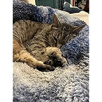 On American Soil: How Justice Became a Casualty of World War II by Jack ...