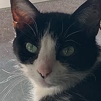 Extinct by Charles Wilson | Goodreads