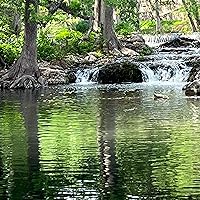 Sinful Oath (Koslov Bratva #1) by Kira Cole | Goodreads